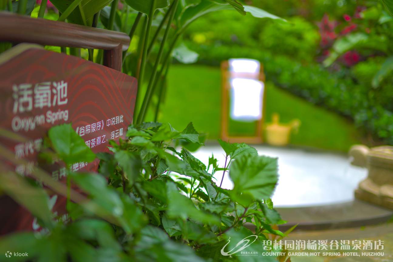 Huizhou Country Garden Runyang Valley Hot Spring Hotel Accommodation ...